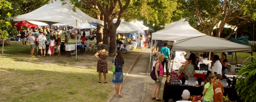 Striving Artists - St. Croix Landmarks Society